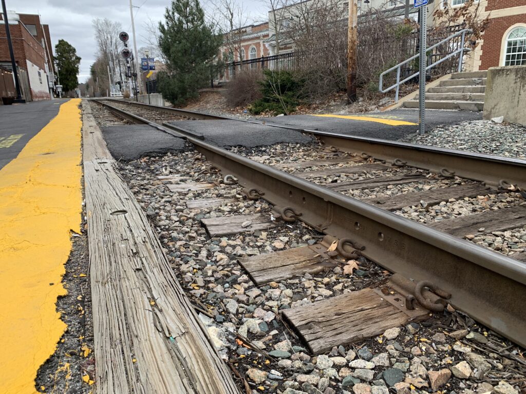 Yes, Rats Live in Needham – Needham Local