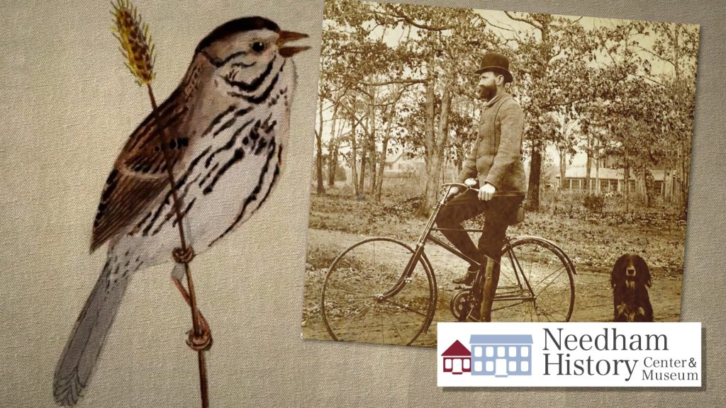 Needham History: Needham’s Naturalist – Needham Local