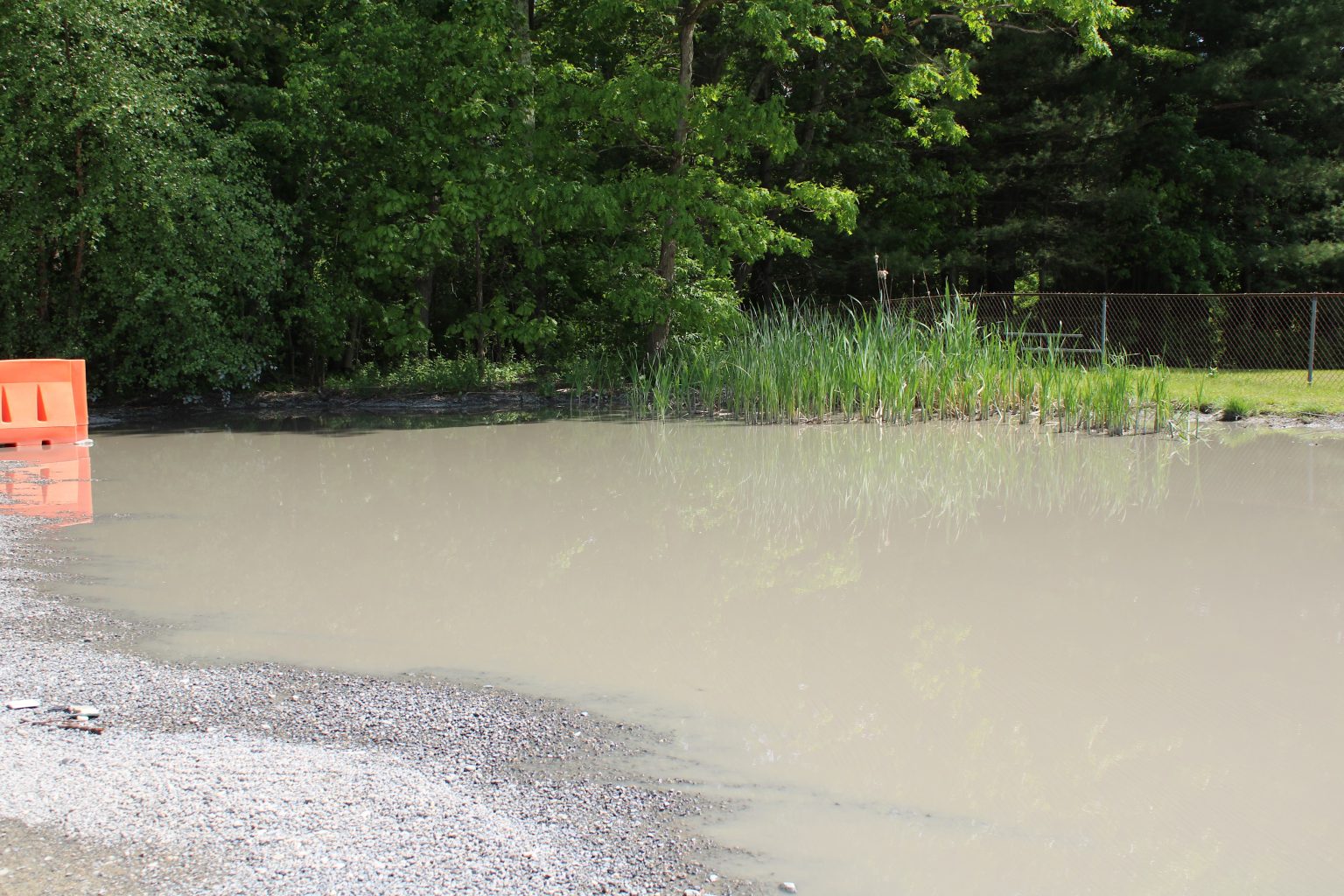 Town Designs Flood Mitigation Strategy at DeFazio – Needham Local