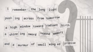 Needham Local – A News Service of the Needham Channel